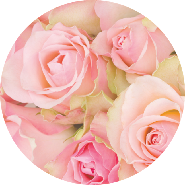 EasyDose™ Ultra Concentrated Laundry Detergent - Rose | Seventh Generation