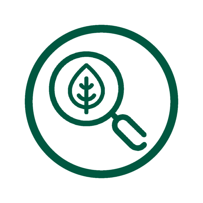 Our Company | Seventh Generation