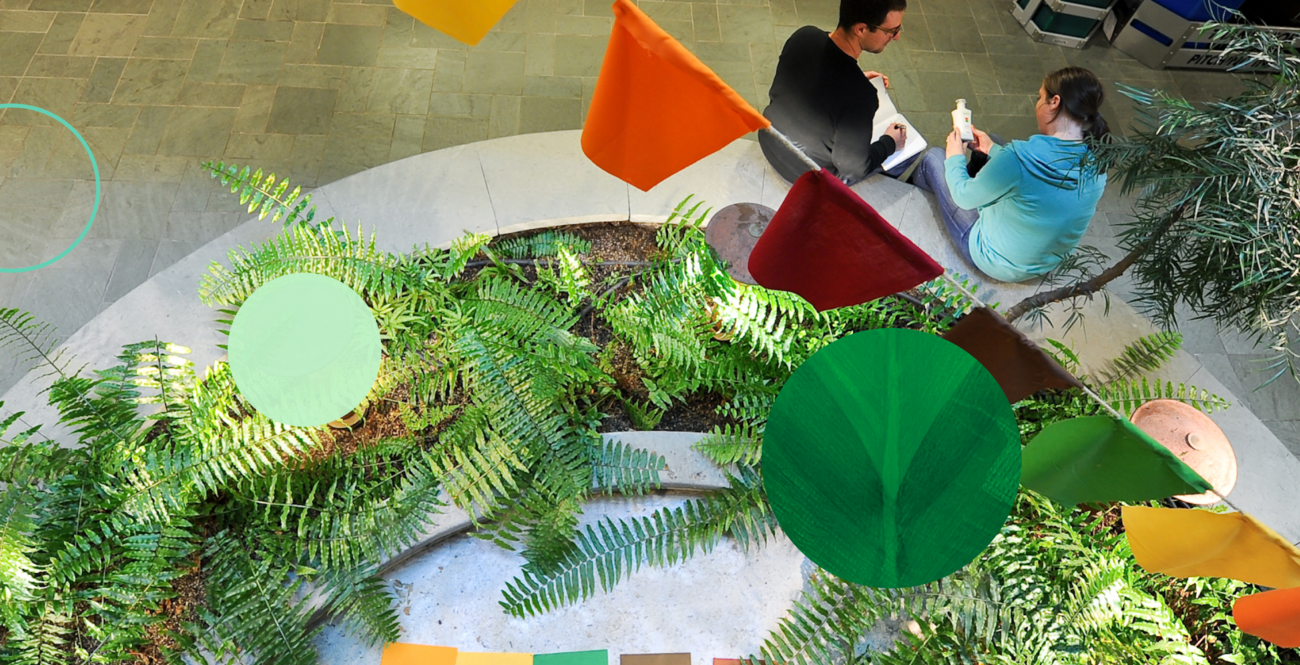 Our Company | Seventh Generation