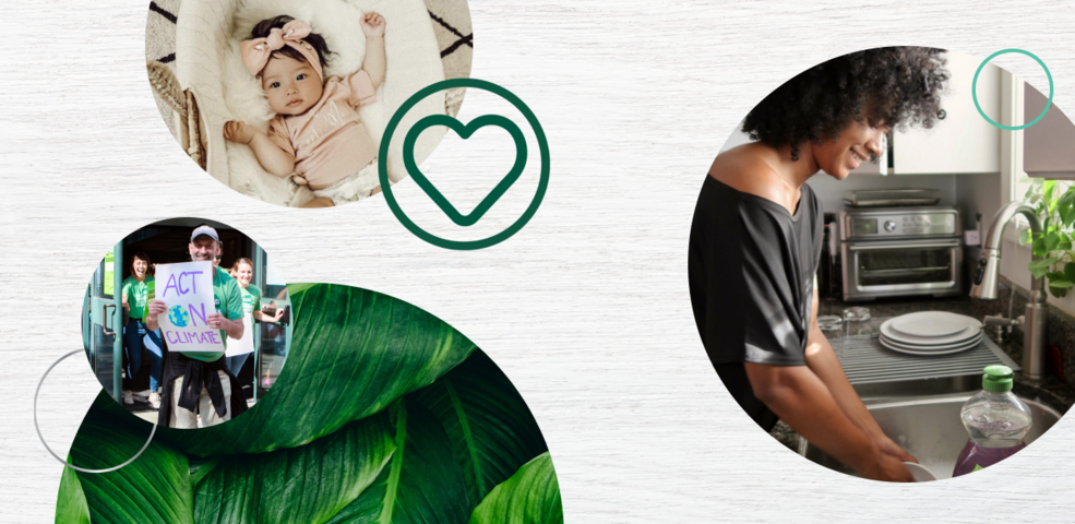 Our Company | Seventh Generation