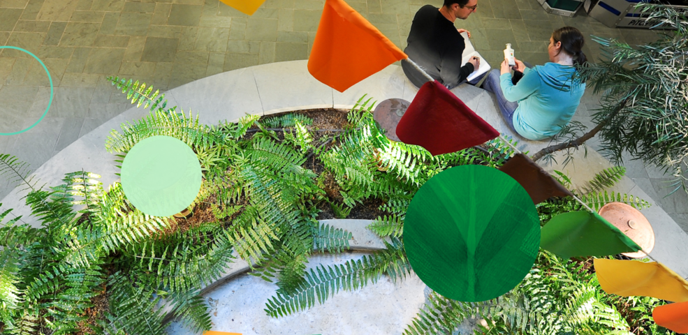 Our Company | Seventh Generation