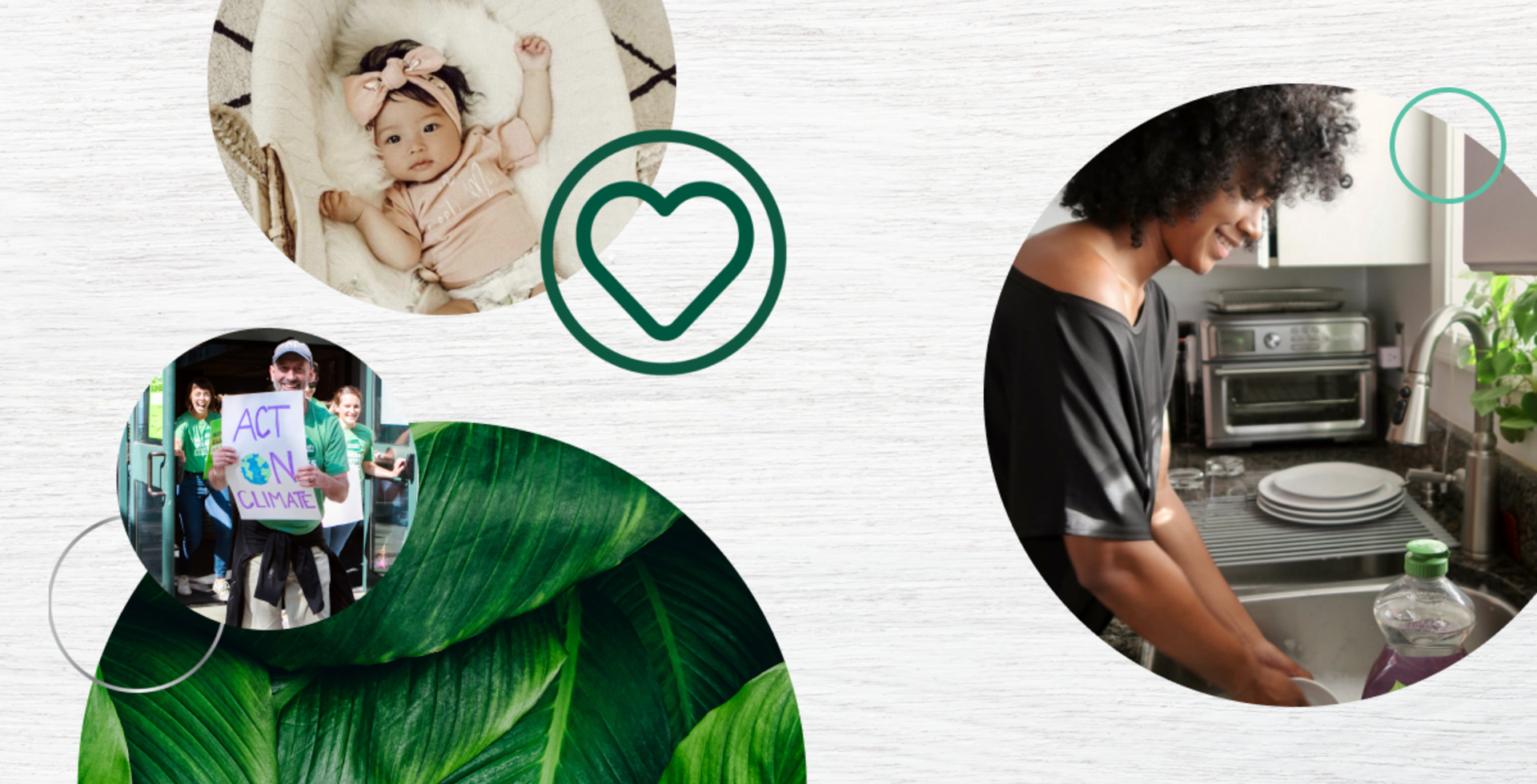Our Company | Seventh Generation