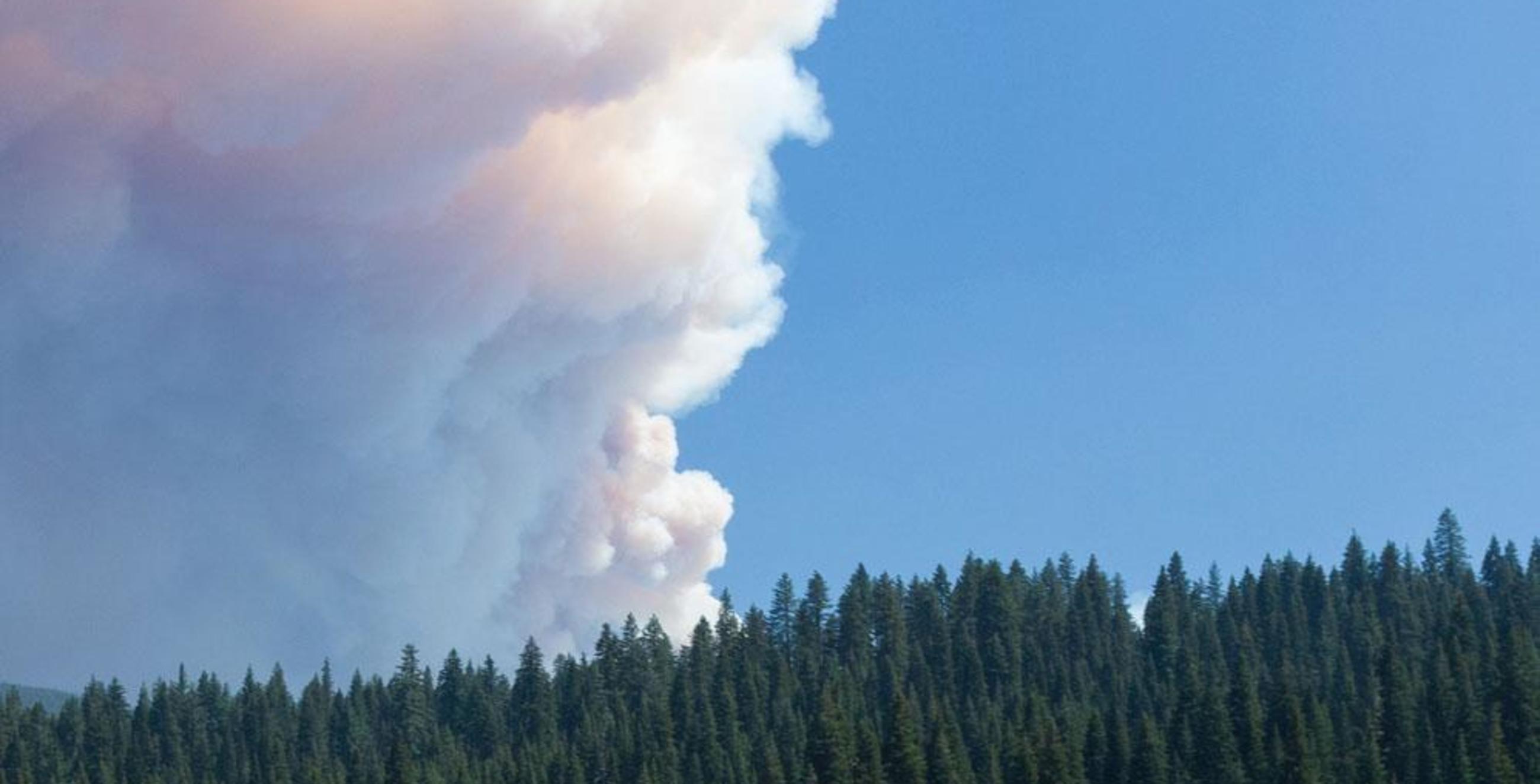 Invest-Divest Blog Collection | Seventh Generation