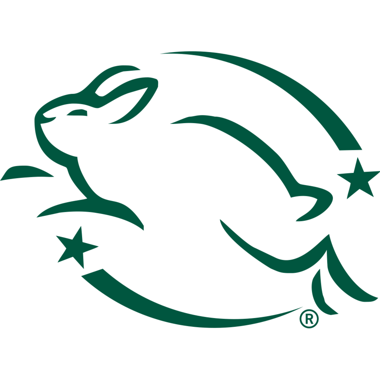 Chlorine Free Bleach - Free & Clear | Seventh Generation