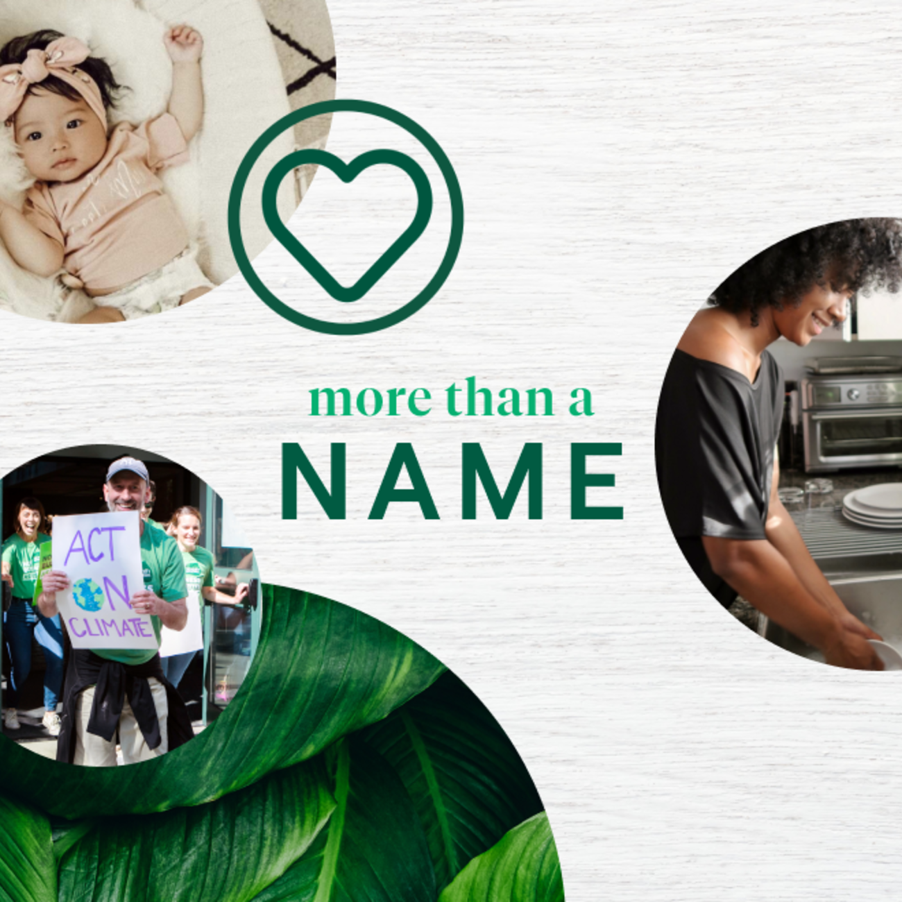Where to Buy | Seventh Generation